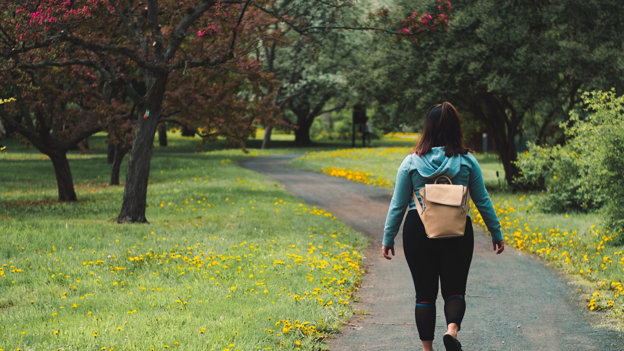 Walking Group - Community Works